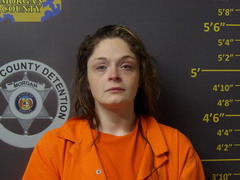 Inmate Roster - Page 2 Current Inmates Booking Date Descending - Morgan ...